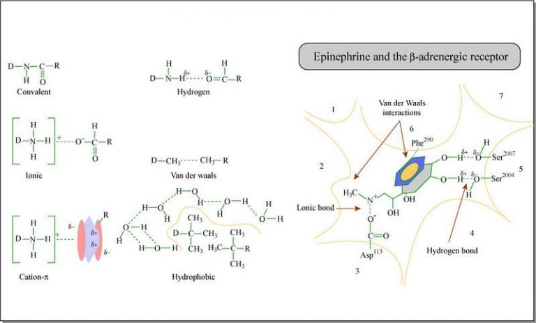 Hva Er En Kjemisk Binding - didriksonsshop.no